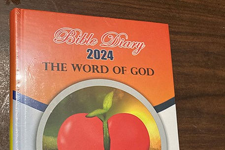 Chicago Province | Society of the Divine Word